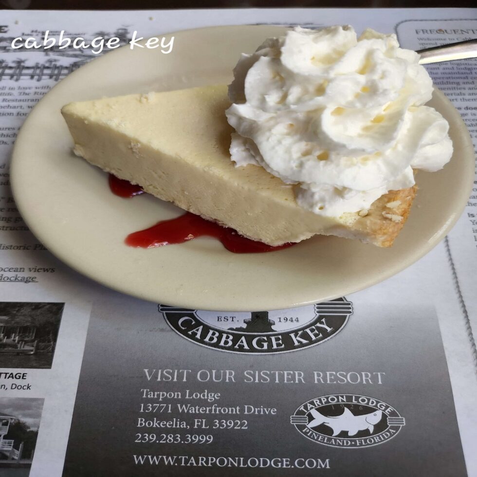 Sailing Away: The Perfect Cabbage Key Day Trip - The World Travel Girl