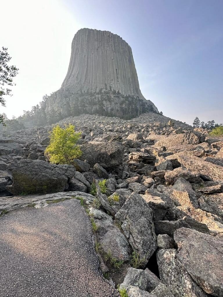 Things To Do At Devils Tower: Nature Walks To Stargazing Nights - The ...