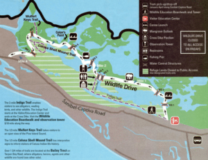 Things To Do At Ding Darling Wildlife Refuge: A Complete Guide - The ...