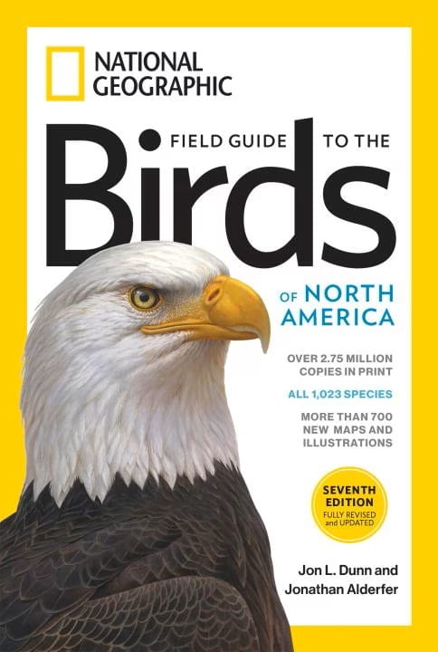 Birding Basics: A Beginner's Guide To Birding As A Hobby - The World ...
