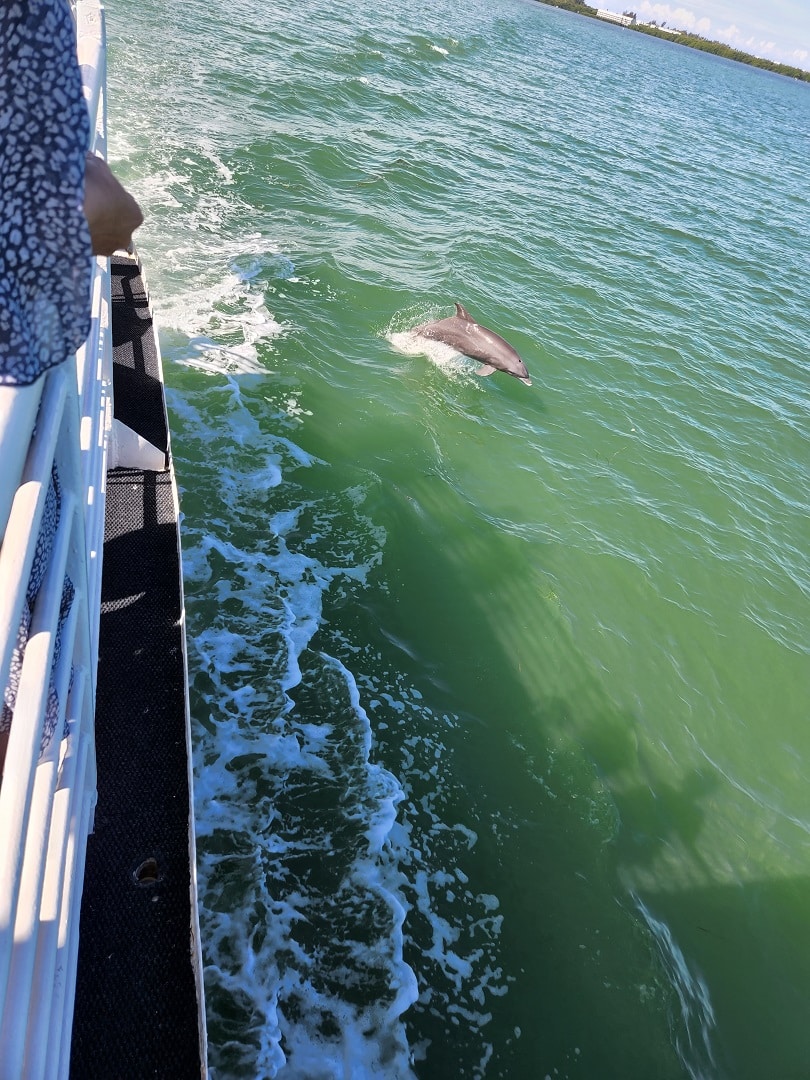 Sailing Away: The Perfect Cabbage Key Day Trip - The World Travel Girl