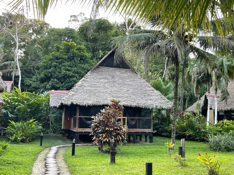 Rainforest Retreats: Exploring The Best Amazon Lodges In Peru - The ...