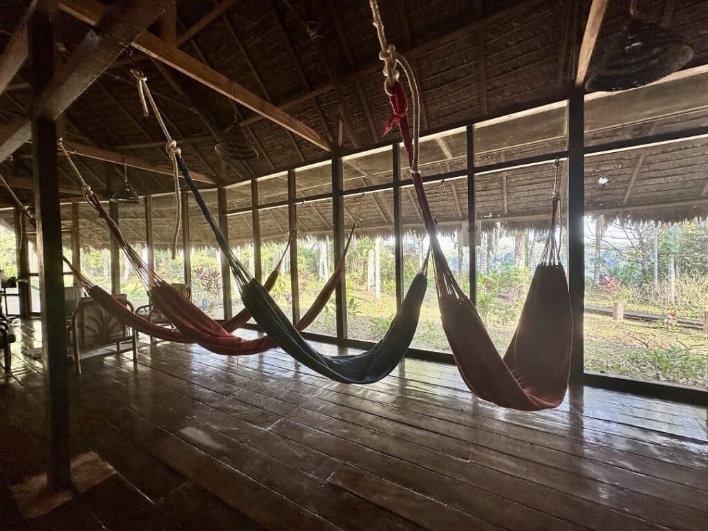 Rainforest Retreats: Exploring The Best Amazon Lodges In Peru - The ...