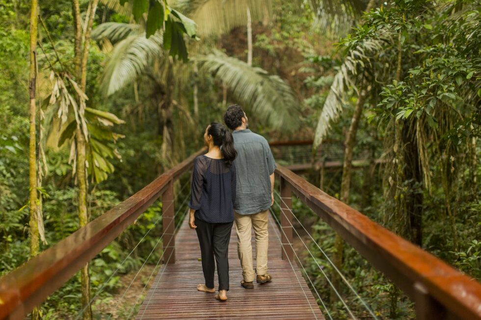 Rainforest Retreats: Exploring The Best Amazon Lodges In Peru - The ...