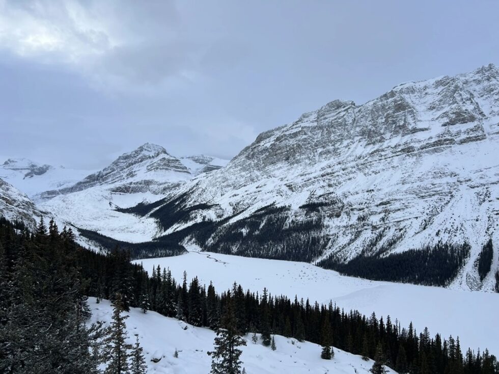 Frozen Beauty: Uncovering The Best Winter Hikes In Banff - The World ...