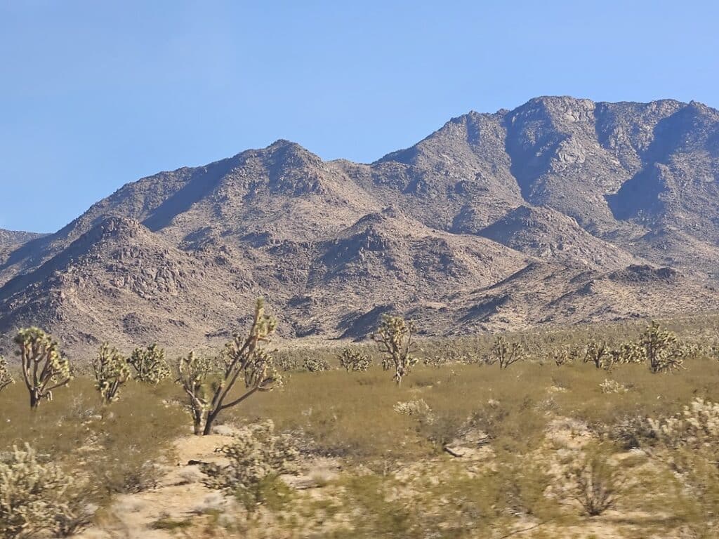 Ultimate Day Trip: Taking The Bus From Las Vegas To Grand Canyon - The ...