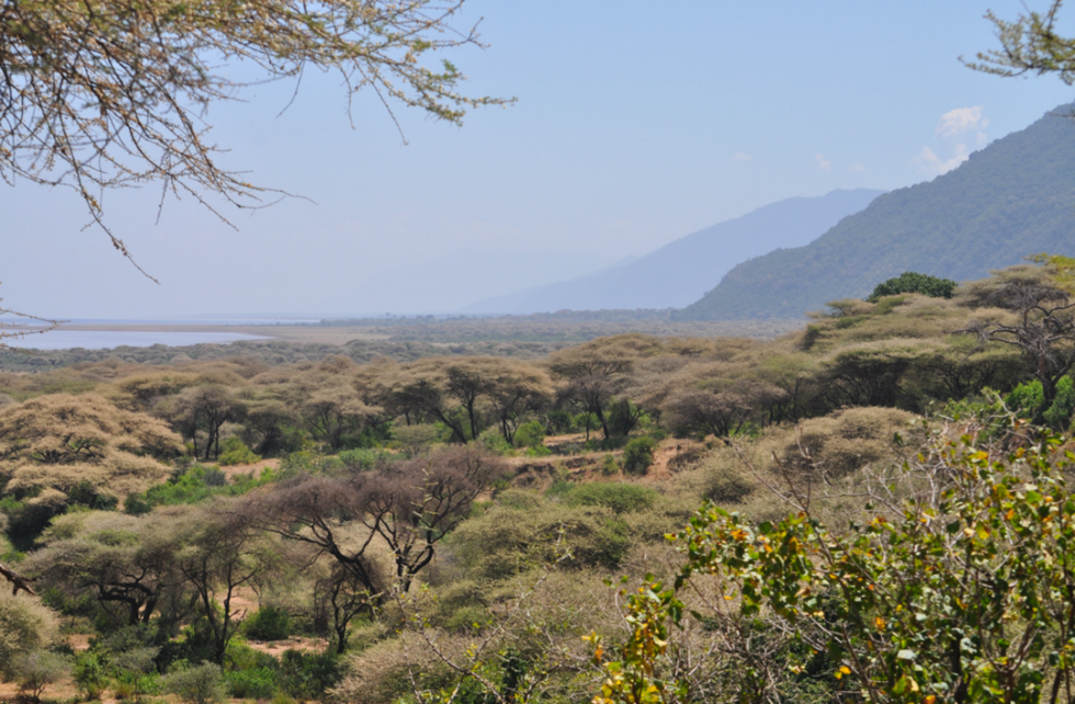 Exploring Tanzania: Is Lake Manyara Worth Visiting?