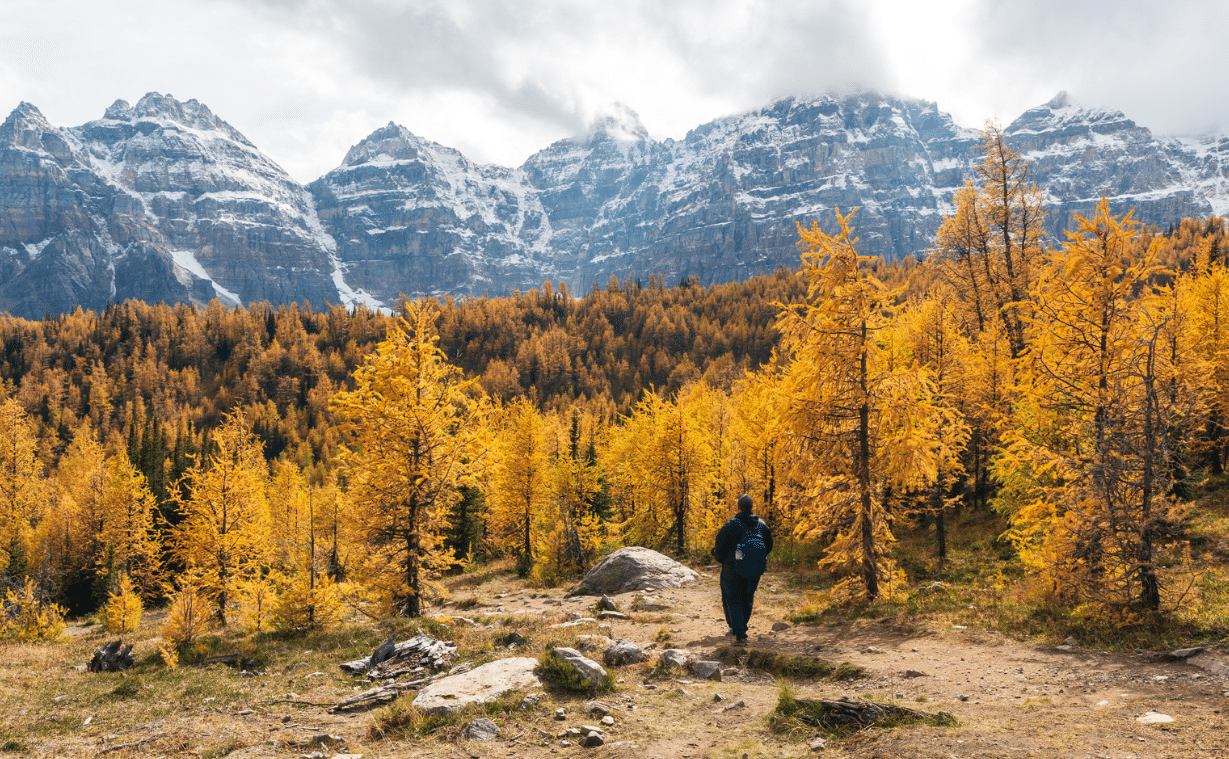 Exploring The Best Larch Hikes In Kananaskis And Beyond