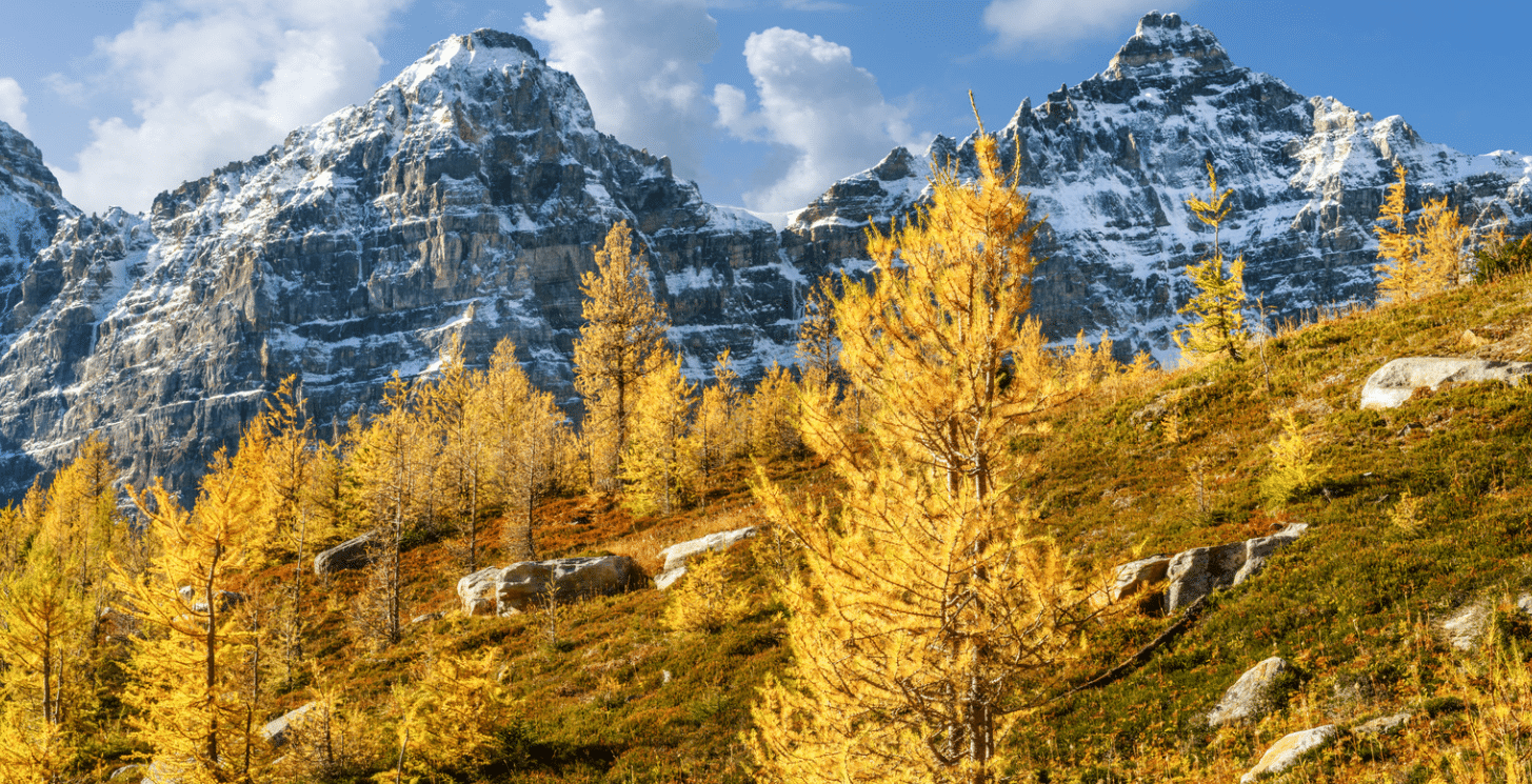 Exploring The Best Larch Hikes In Kananaskis And Beyond