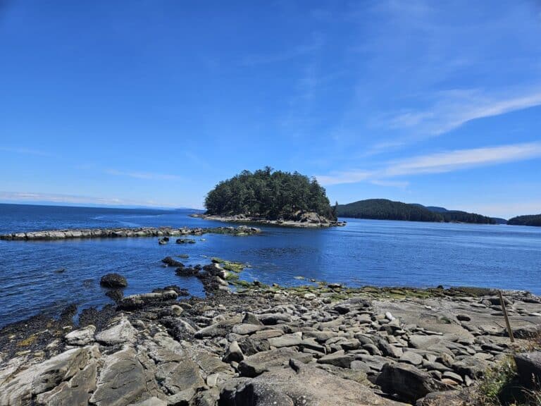 Top Things To Do On Mayne Island: Your Ultimate Guide